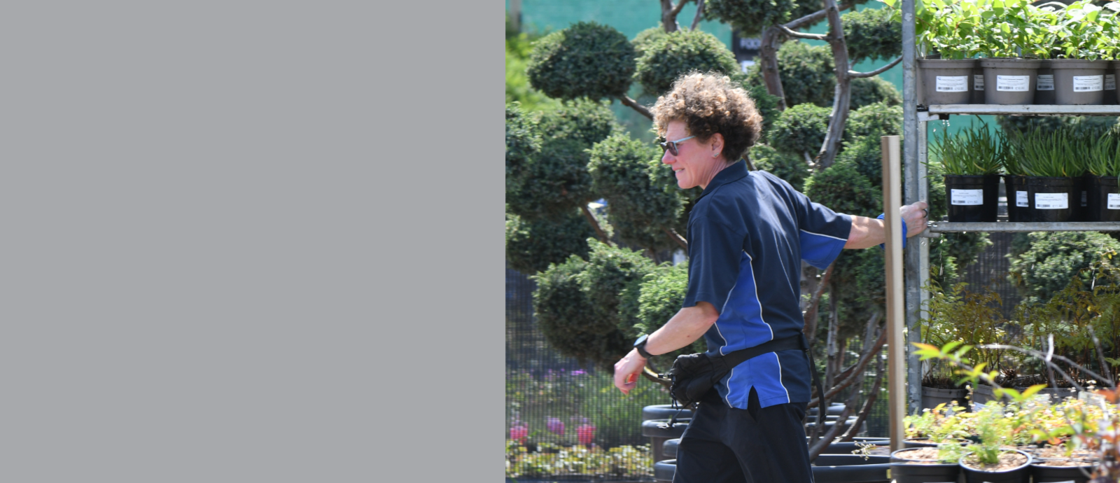 Provender Nurseries | Wholesale Nursery in Swanley