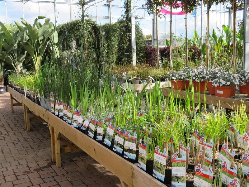 In-Depth News for Trade Customers | Provender Nurseries - Provender ...