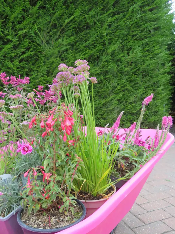 In-Depth News for Trade Customers | Provender Nurseries - Provender ...