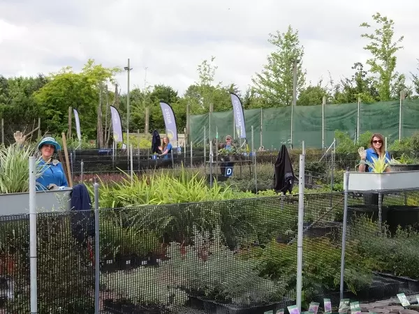 In-Depth News for Trade Customers | Provender Nurseries - Provender ...