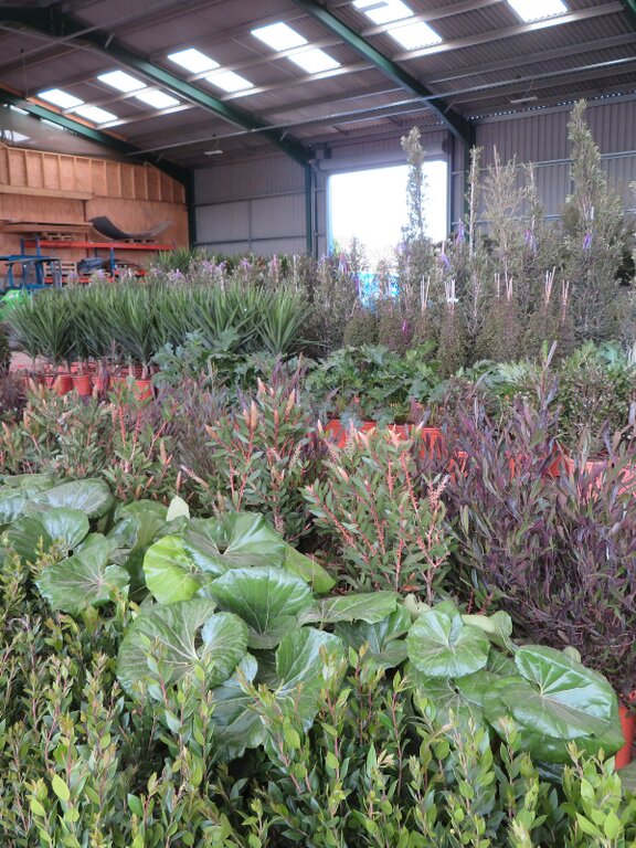 In-Depth News for Trade Customers | Provender Nurseries - Provender ...