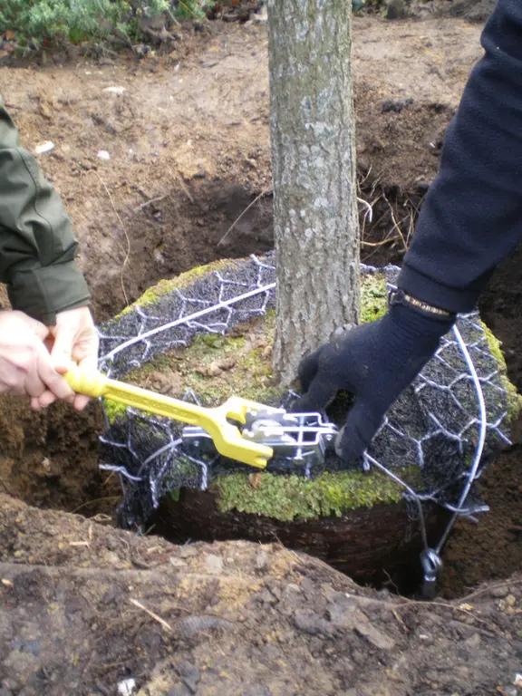 In-Depth News for Trade Customers | Provender Nurseries - Provender ...