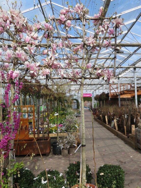 In-Depth News for Trade Customers | Provender Nurseries - Provender ...