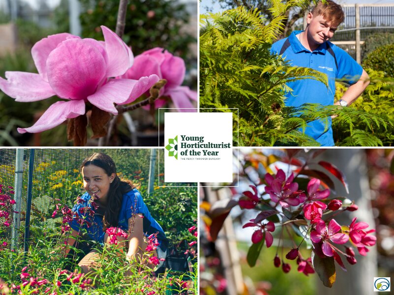 In-Depth News for Trade Customers | Provender Nurseries - Provender ...