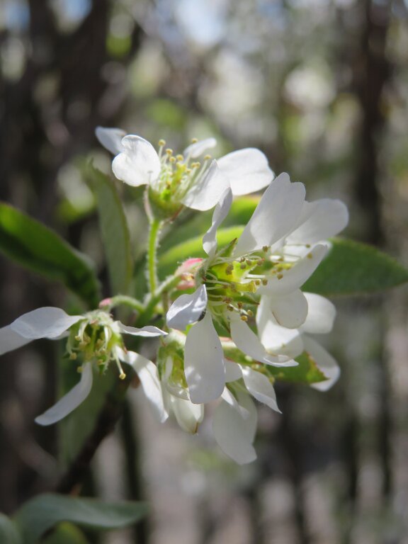 In-Depth News for Trade Customers | Provender Nurseries - Provender ...