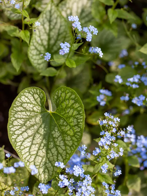 In-Depth News for Trade Customers | Provender Nurseries - Provender ...