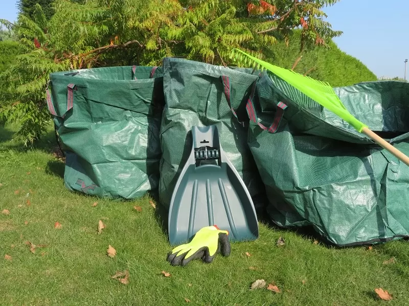 In-Depth News for Trade Customers | Provender Nurseries - Provender ...