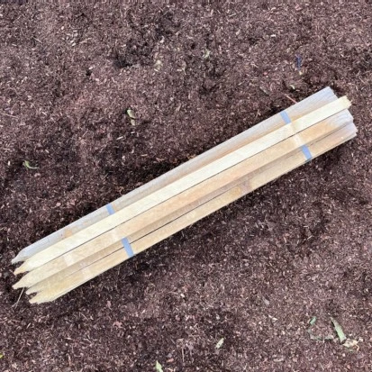 Tree Stake for Biodegradable Tree Guard - Provender Nurseries ...