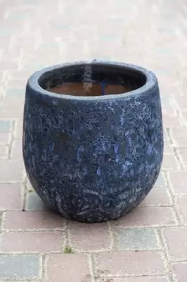 Pot Oceanstone Egg - Provender Nurseries - Wholesale Nursery in Swanley ...