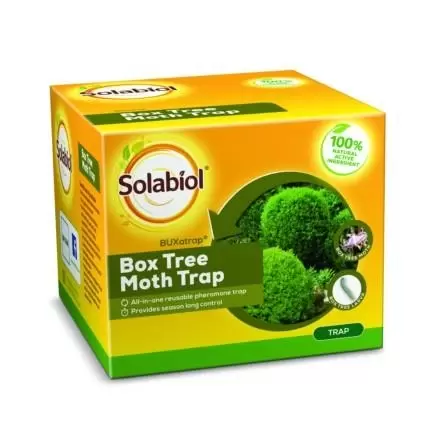 Box Tree Moth Trap - Provender Nurseries - Wholesale Nursery in Swanley ...